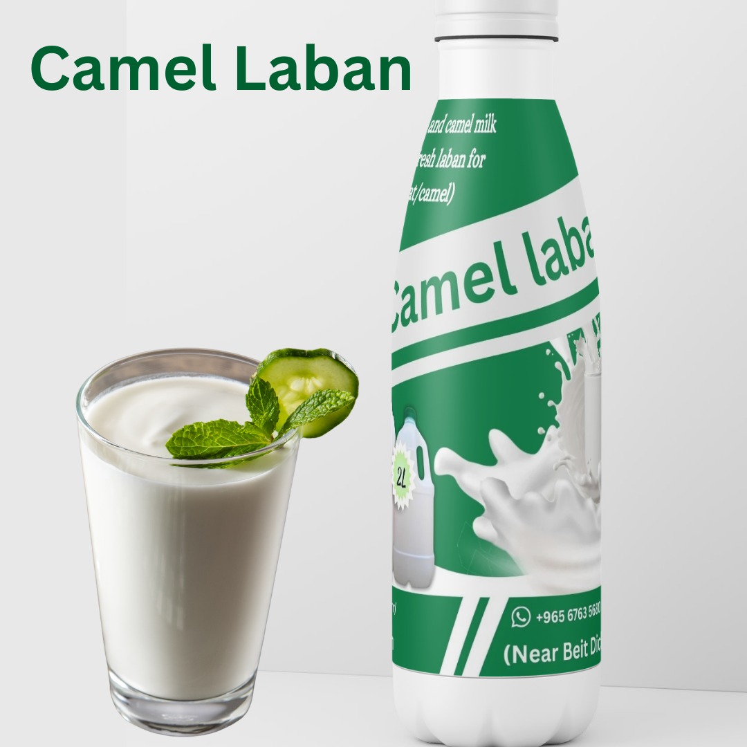 Buy Fresh Camel Laban – Natural Fermented Camel Milk Drink